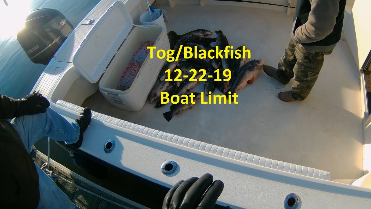 Tog/Blackfish Boat Limit 12-22-2019 - YouTube