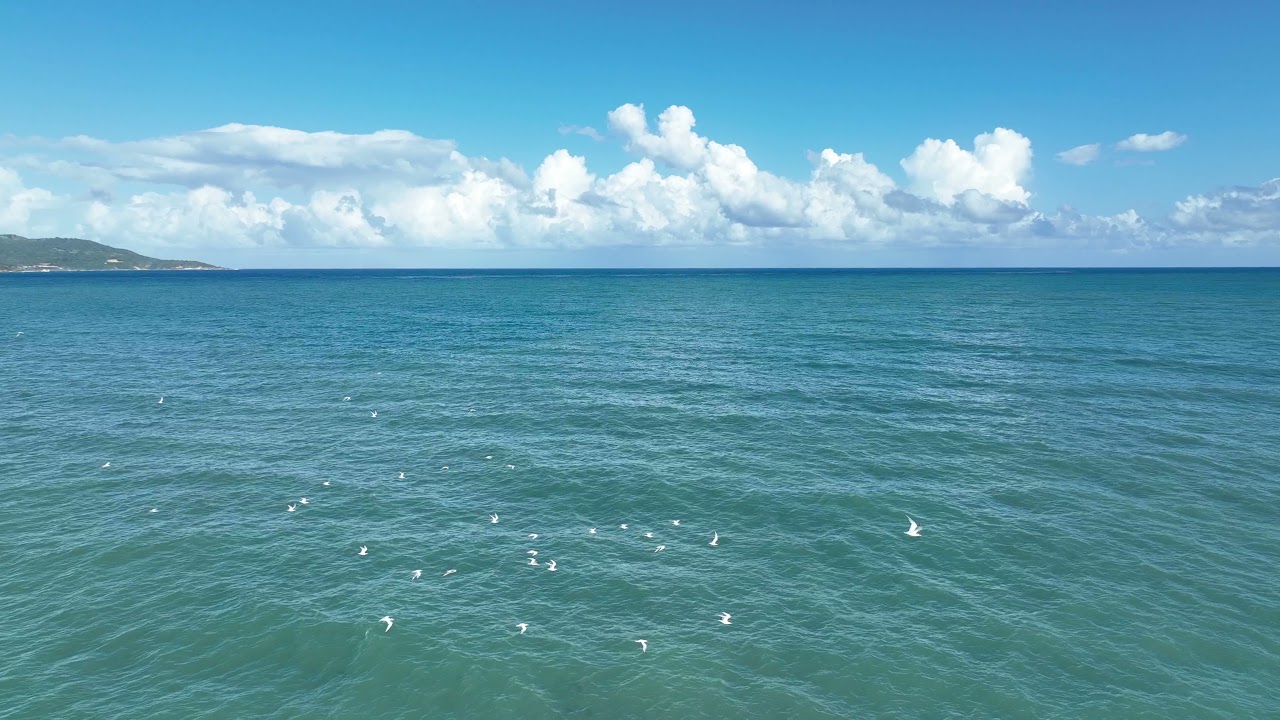 annotto Bay st Mary - YouTube