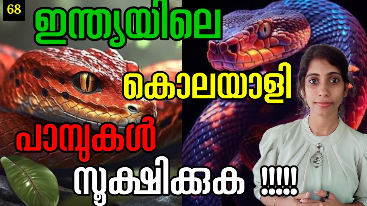 ഇന്ത്യയിൽ ഏറ്റവും കൂടുതൽ മരണത്തിന് കാരണമായ പമ്പുകൾ |Most Death cause by ...