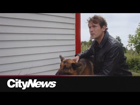 'Hudson & Rex' season 9 to see return of actor John Reardon