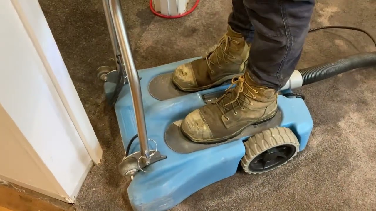 Your Innovative Cleaning Partner | Pure Services Group NZ