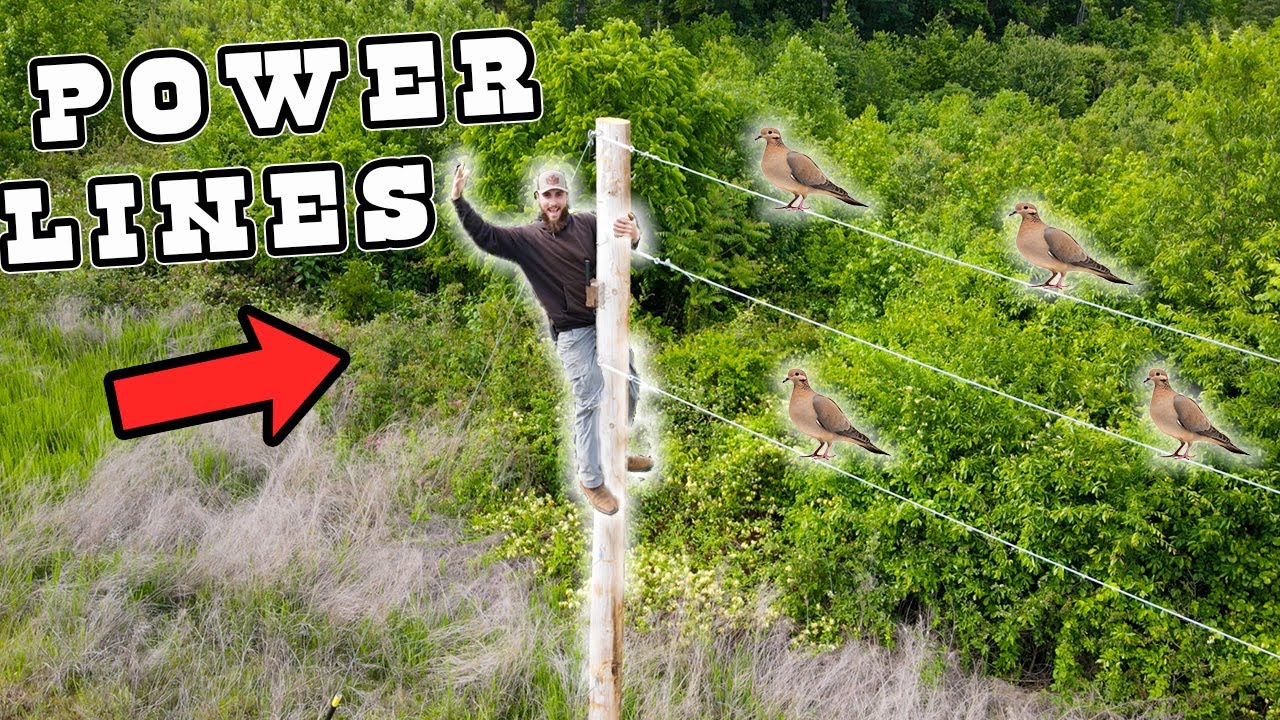Building FAKE POWER LINES ( DOVE SEASON PREP 2024 ) - YouTube
