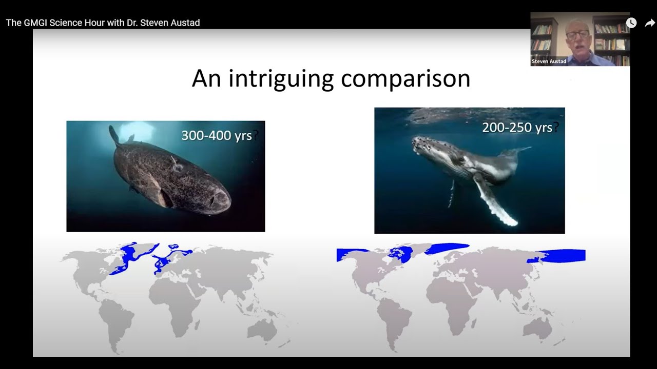 The GMGI Science Hour with Dr. Steven Austad - YouTube