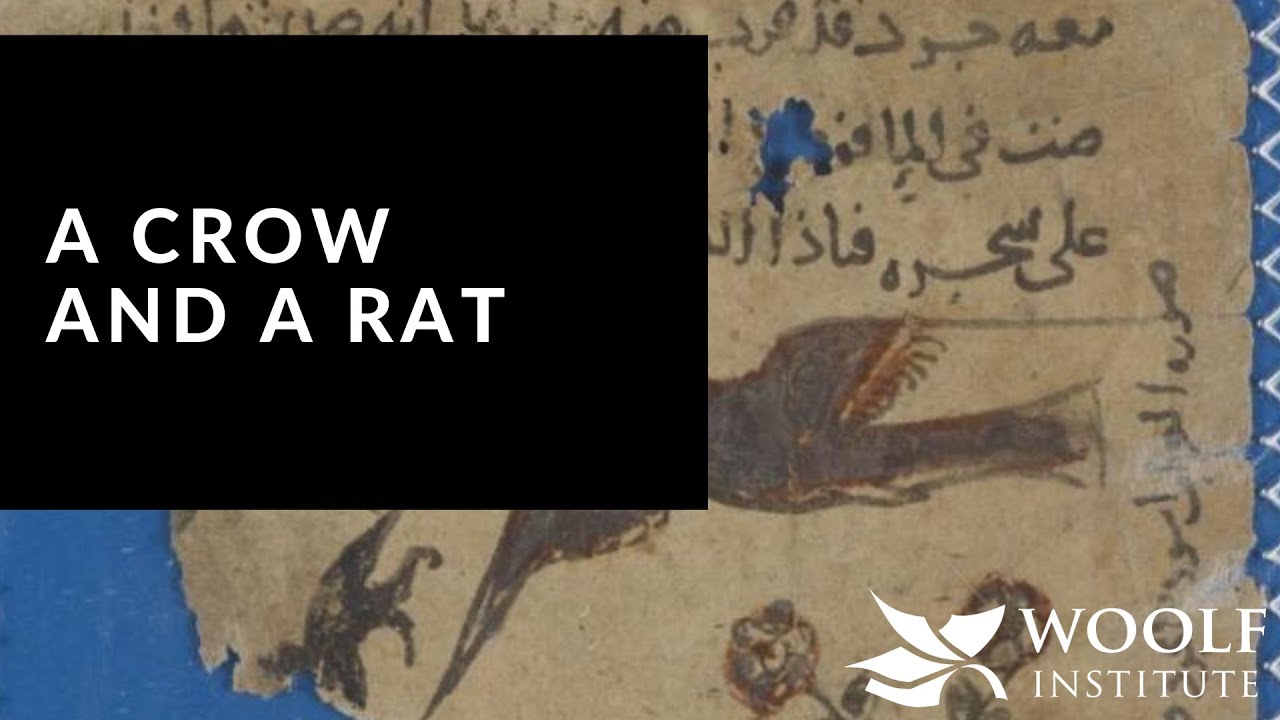 A CROW AND A RAT - YouTube