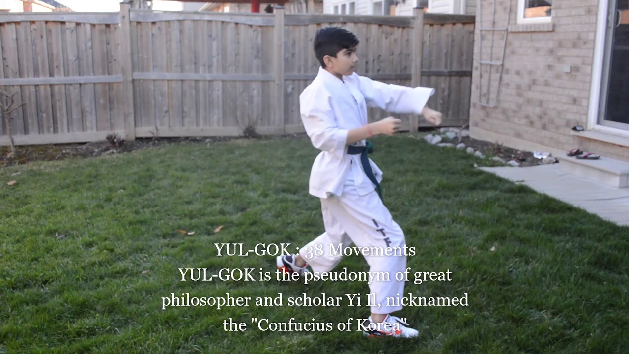 Taekwon-do Blue Stripe Pattern (Yul-Gok) - YouTube