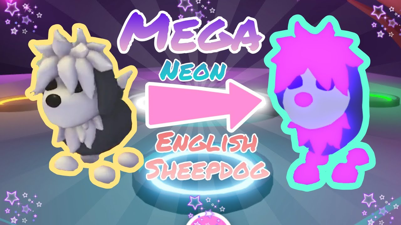 Making A MEGA NEON ENGLISH SHEEPDOG IT TOOK ME DAYS! 😂| 💕 ...