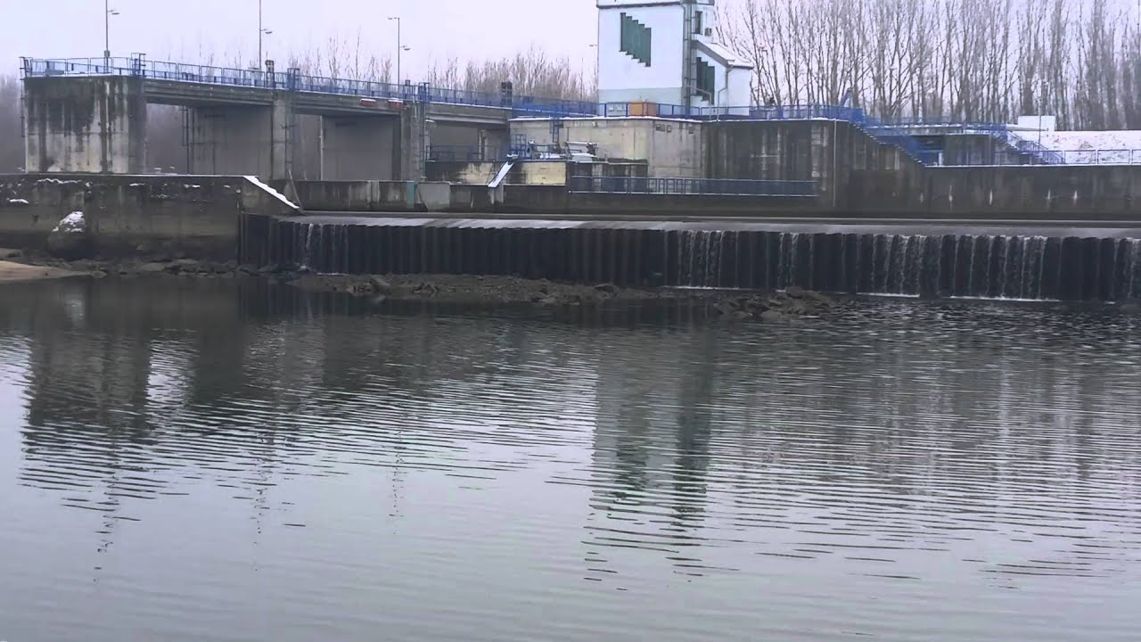 selice 6.01.2016 - YouTube