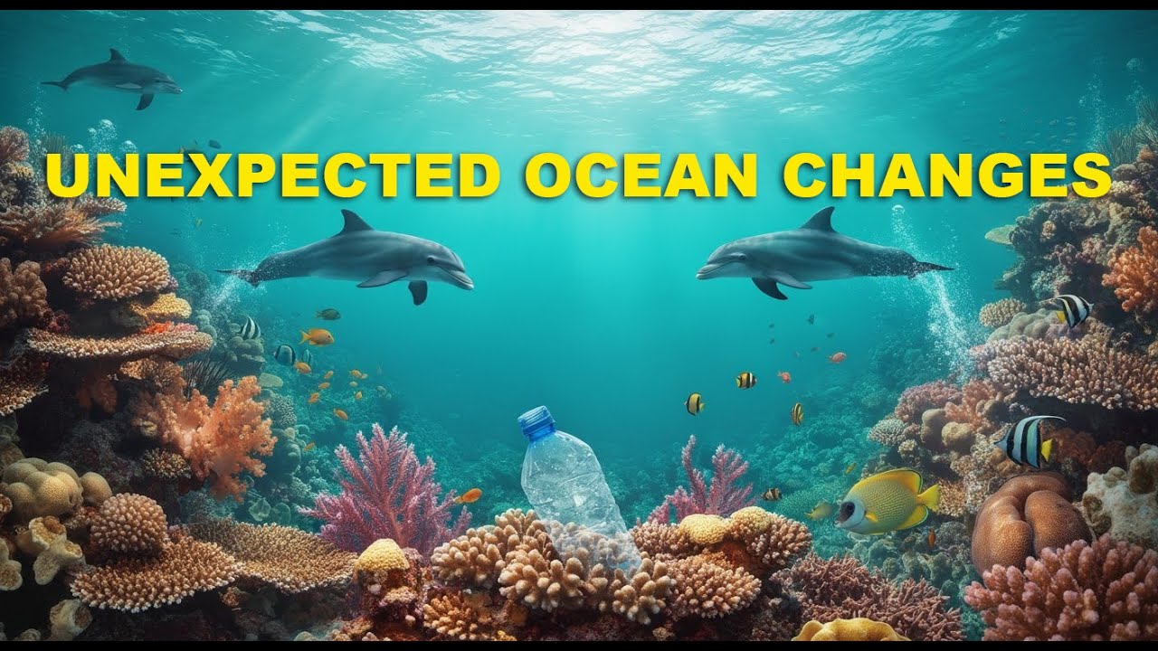 Climate Change Is BOILING Our Oceans! 😱 Here's What That Really Means ...