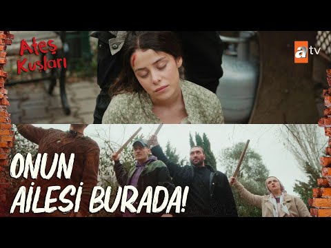 Çatal, Gülayşe'nin kafasına silah dayadı! - Ateş Kuşları 6. Bölüm