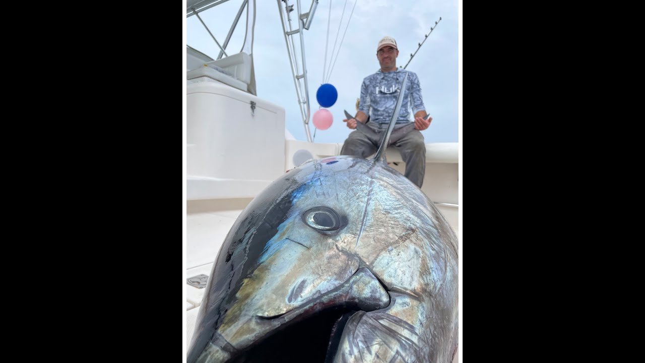 Bluefin Tuna Battle Sept. 2021 - YouTube