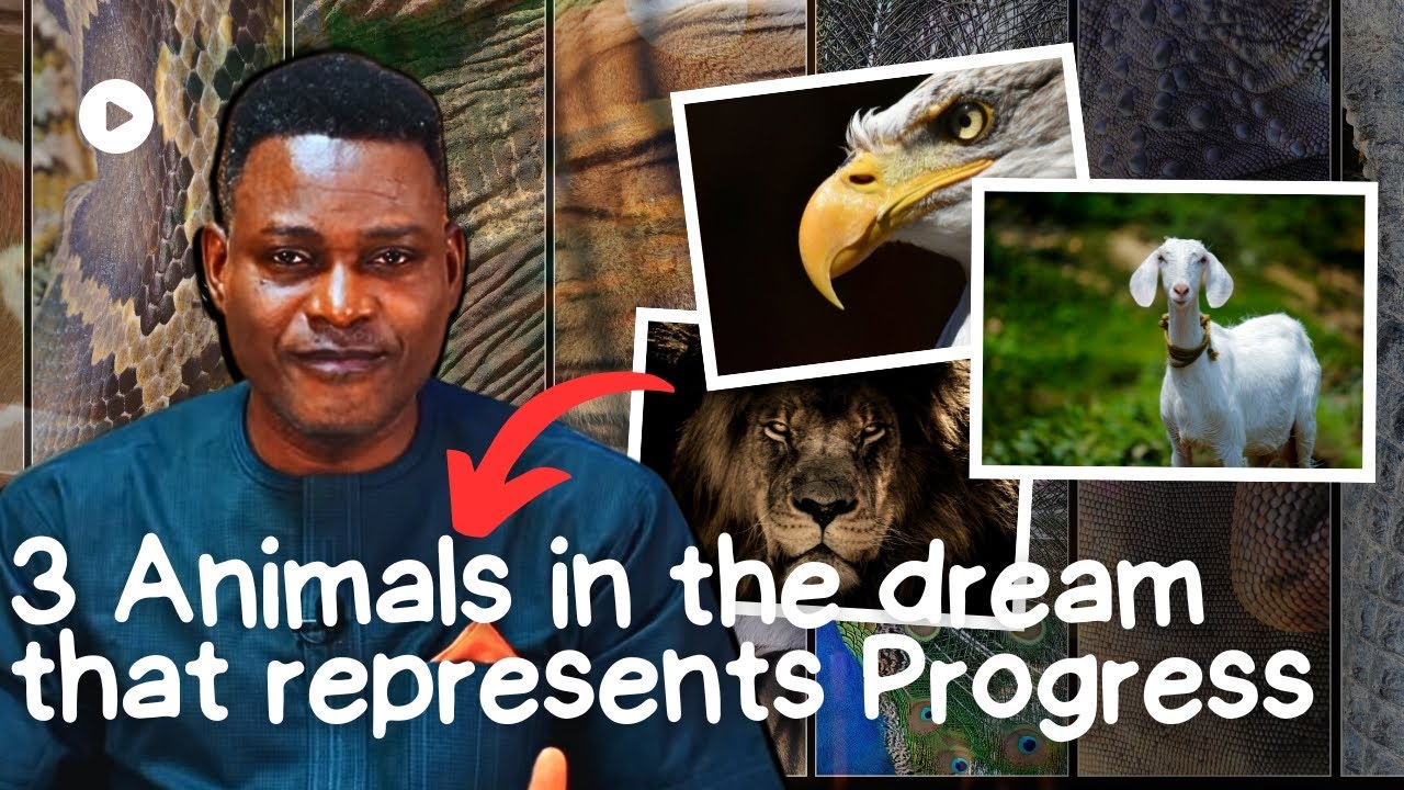 3 Animals in your dreams that represents Progress |EP 360| Live with Dr ...