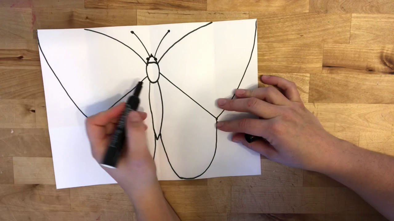 Grid butterfly drawing, grid butterfly 2 - YouTube