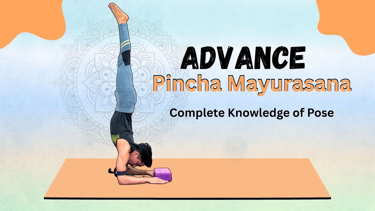 Advance Practice for Pincha Mayurasana | Feathered Peacock Pose ...