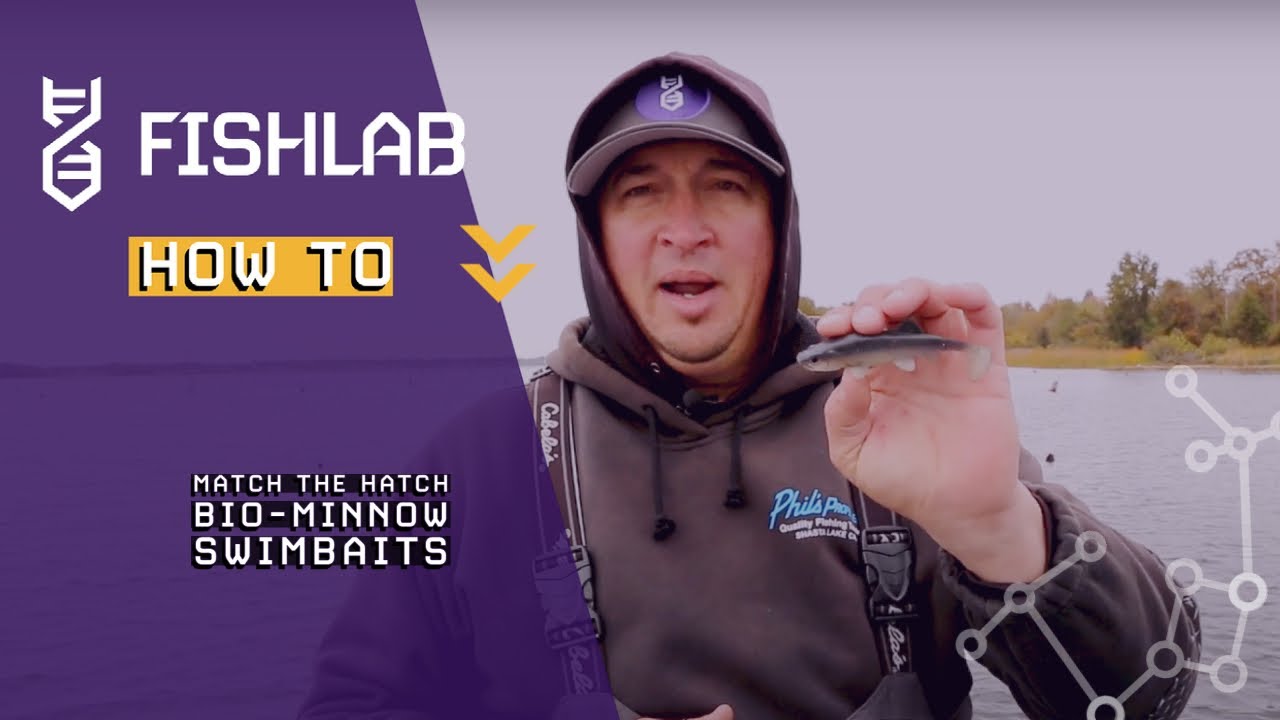 FishLab How To- Match the Hatch - YouTube