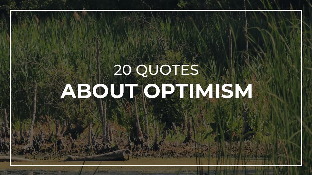 20 Quotes about Optimism | Daily Quotes | Good Quotes | Quotes for ...