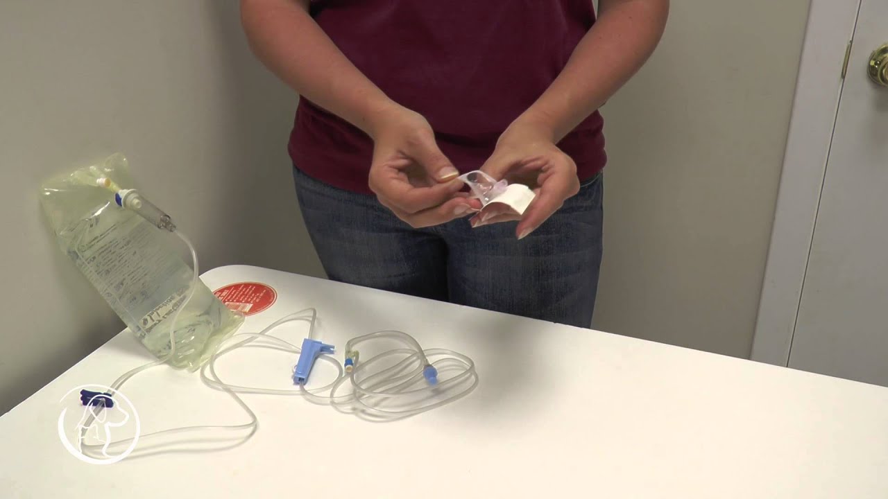 Annapolis Cat Hospital's "How To: Administer SubQ Fluids" - YouTube