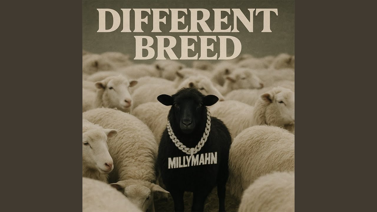 DIFFERENT BREED - YouTube