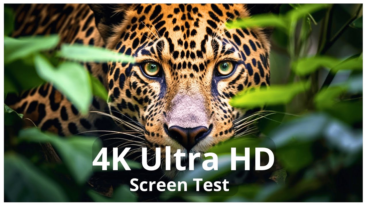 🌍 4K Ultra HD Screen Test - Explore the Depth of Stunning 4K Quality! 🎥 ...