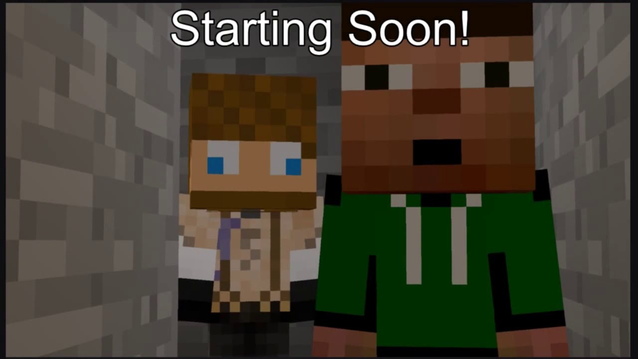 Charborg Streams - Minecraft: I'm so very pregnant and chat is the baby ...