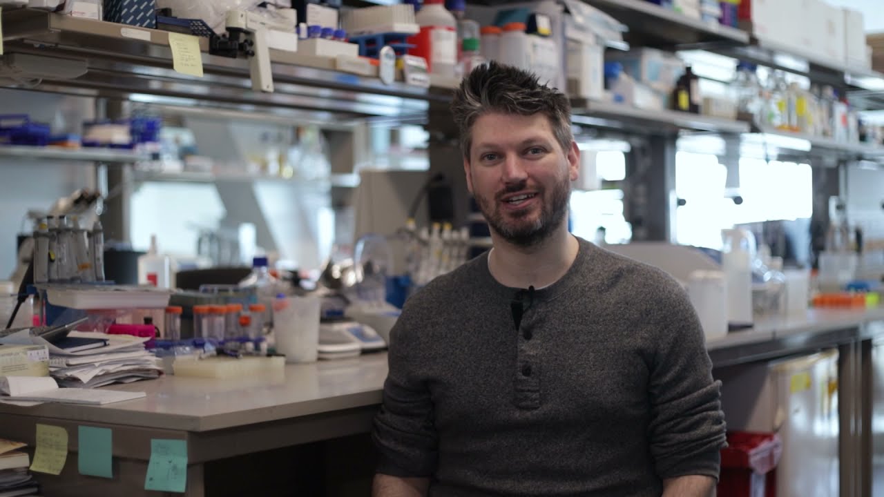 Dr. Wesley Wilson - 2020 iMig Young Investigators Award winner - YouTube