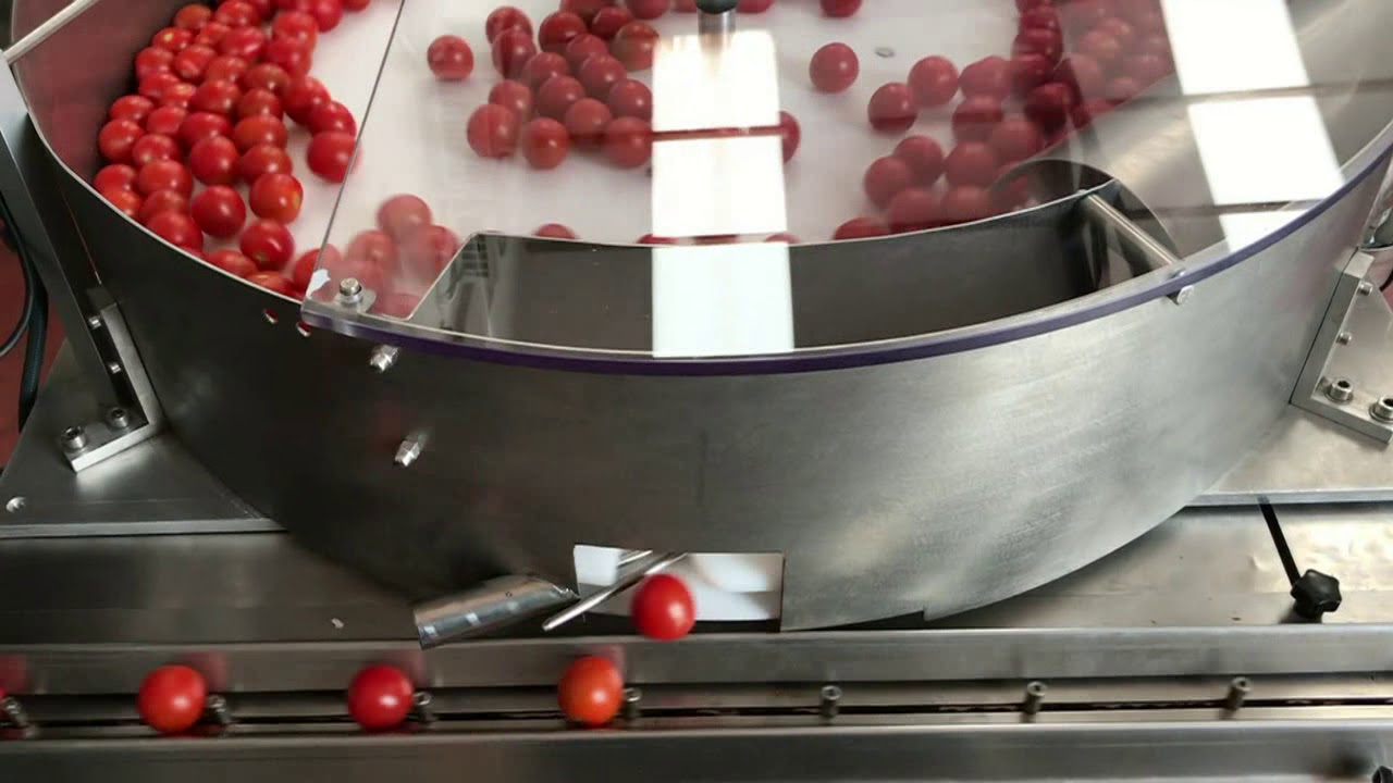 40 ENVASADO UNITARIO DE TOMATES CHERRYS - YouTube