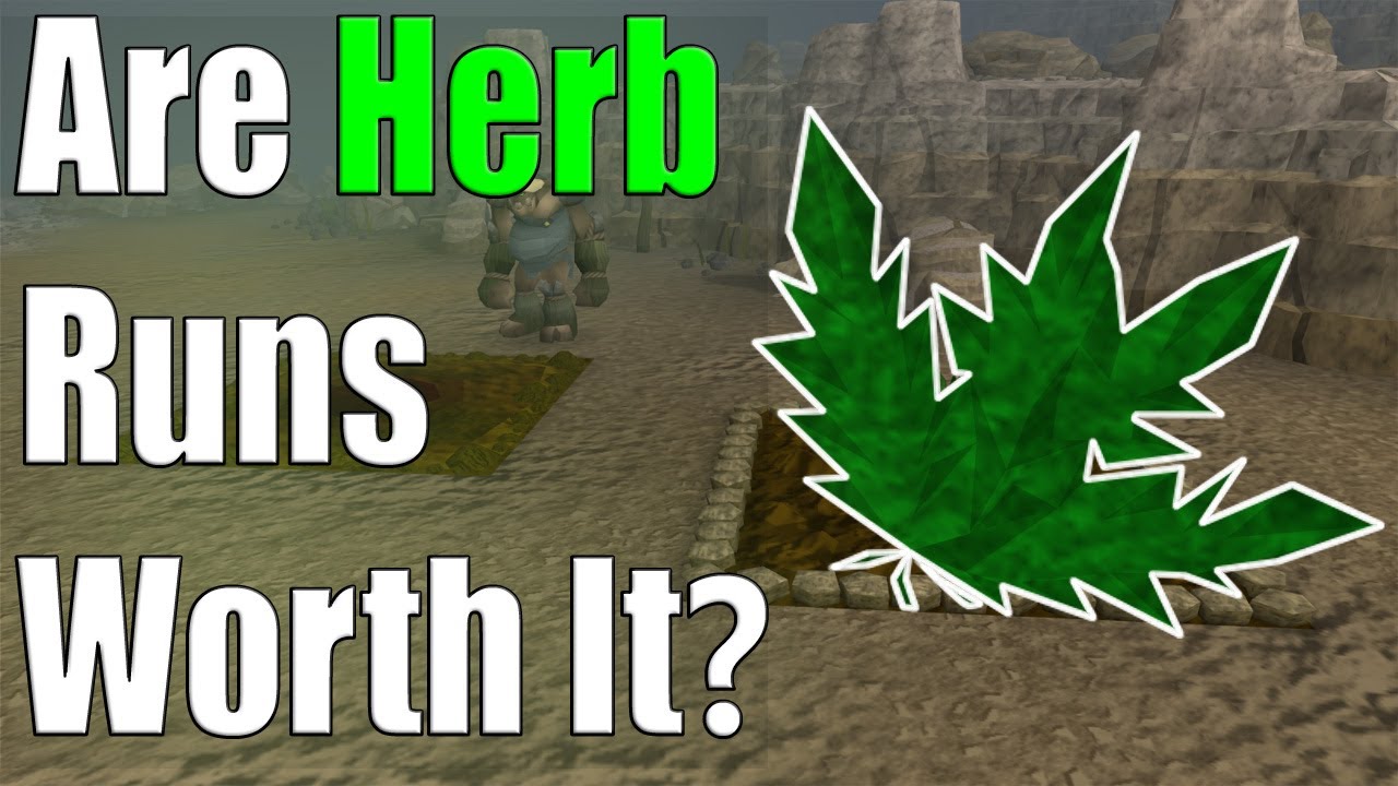 The Efficiency Behind Herb Runs - YouTube