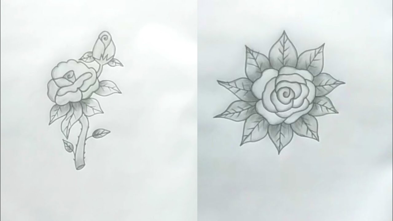 How to draw a beautiful Rose🌹 flower||gulab ka phool kaise banaye - YouTube