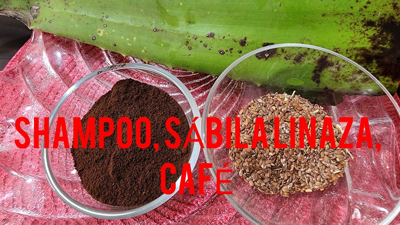 SHAMPOO, SÁBILA,LINAZA, CAFÉ. - YouTube