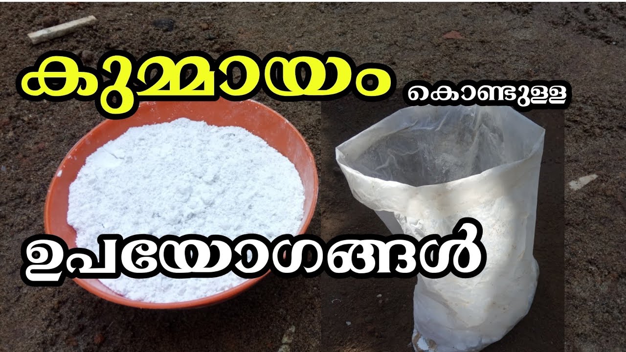 കുമ്മായം ഉപയോഗിക്കാം | Kummayam for plants |Agriculture lime|Malayalam ...
