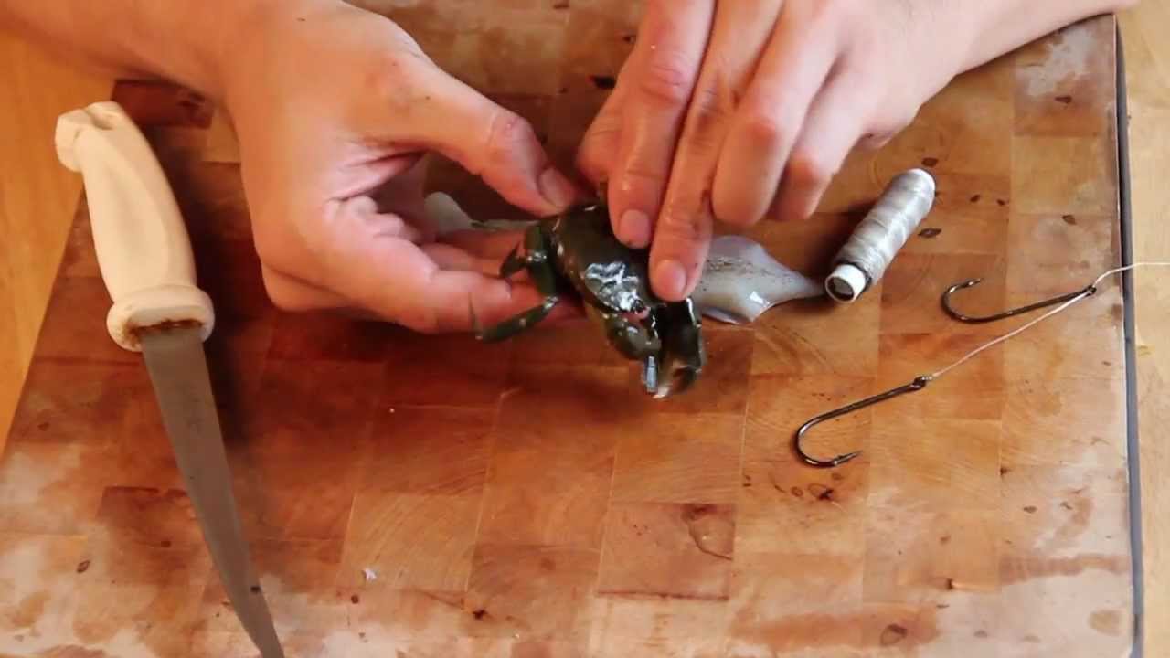 Cod Fishing Baits Video - Crab And Squid Wrap - YouTube
