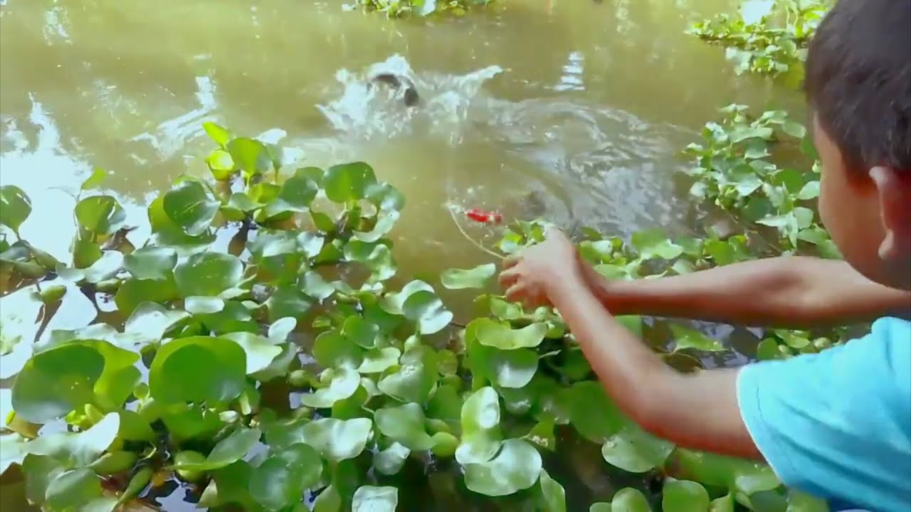 hook fishing video 2023.incredible hook fishing video.village hook ...