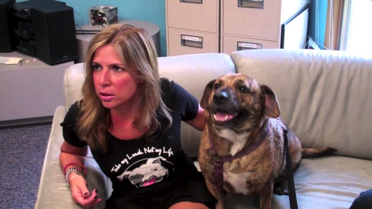 WDHA's Rock N' Ruff with Dorothy - YouTube