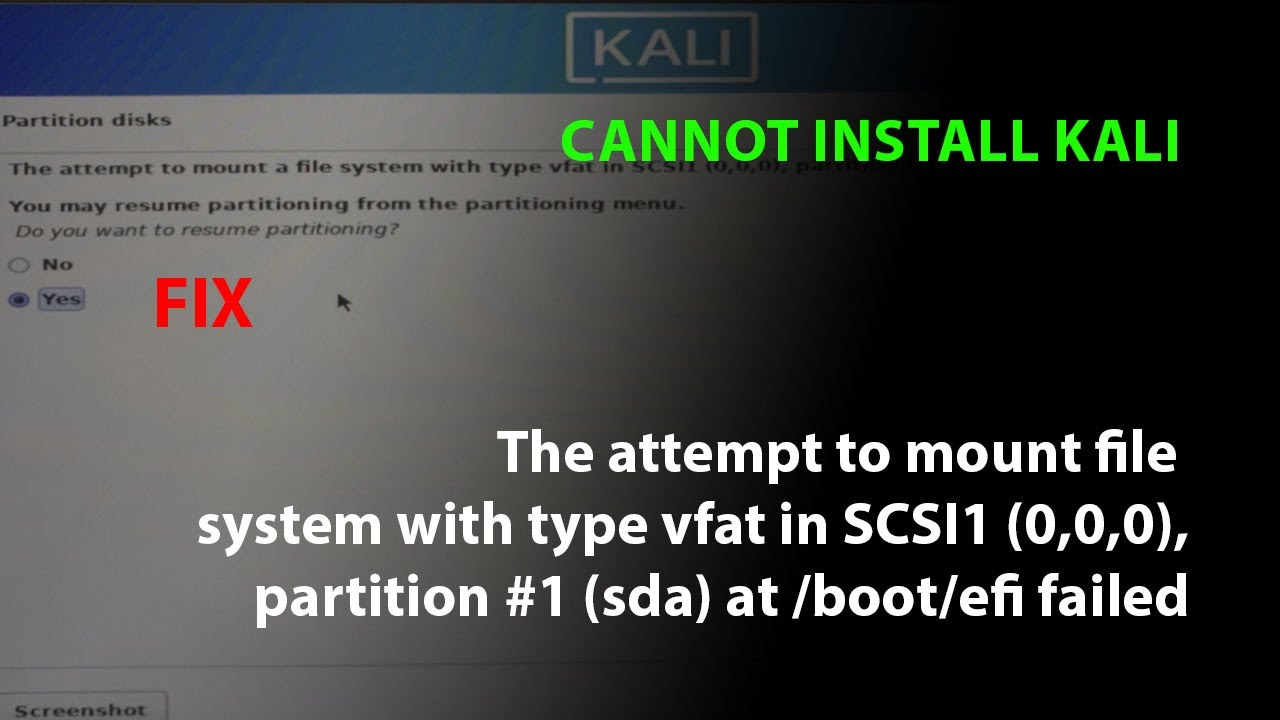 KALI FIX: The attempt to mount file system vfat in SCSI1, partition #1 (sda) at /boot/efi failed ...