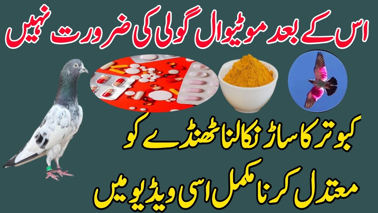 IS K BAD MOTIWAL TAB KI ZARORAT NAI - YouTube