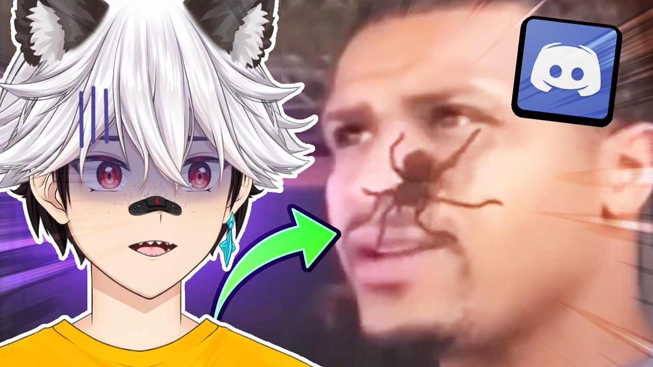 Os MELHORES Memes do Discord #05 - YouTube