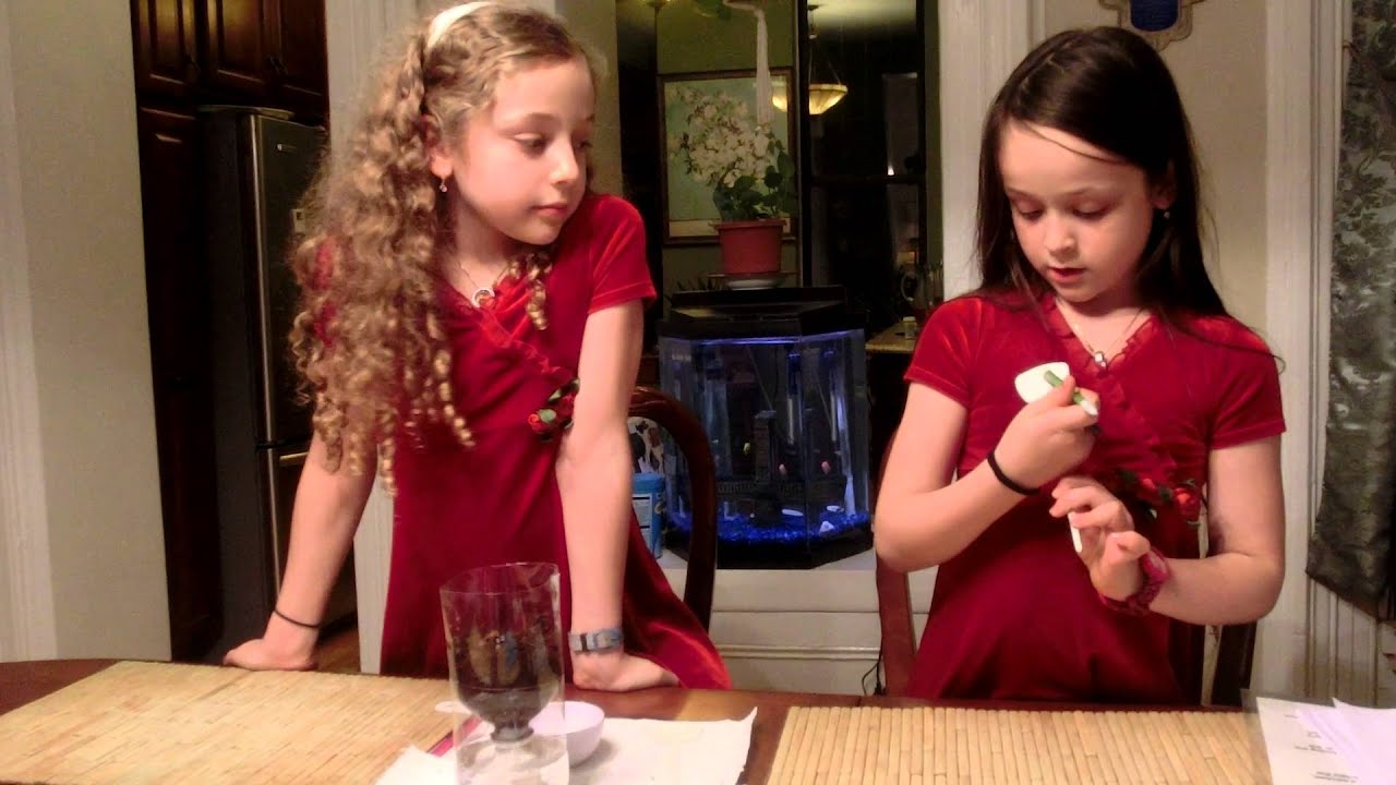 How to make a SIP and capillary action experiment - YouTube
