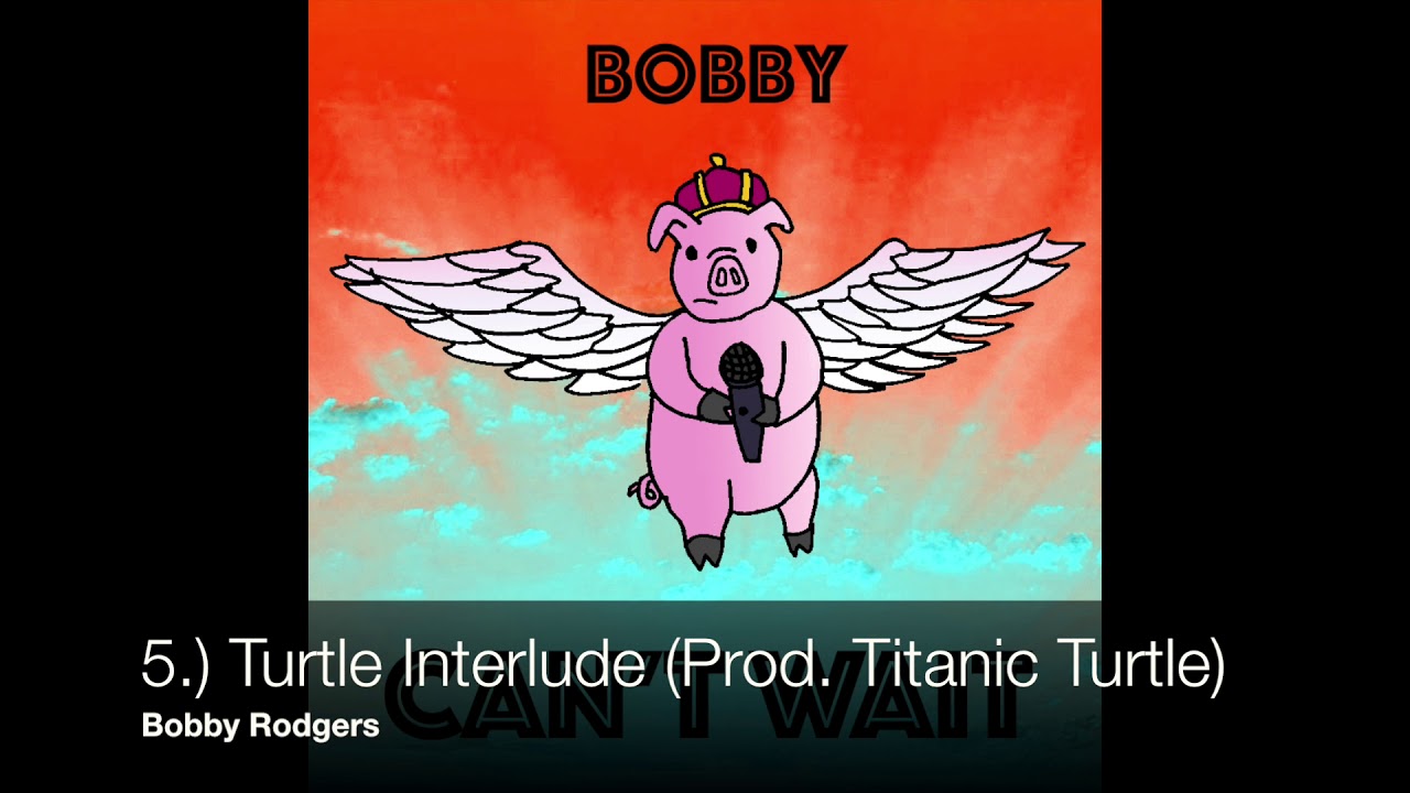 Turtle Interlude (Prod. Titanic Turtle) - YouTube