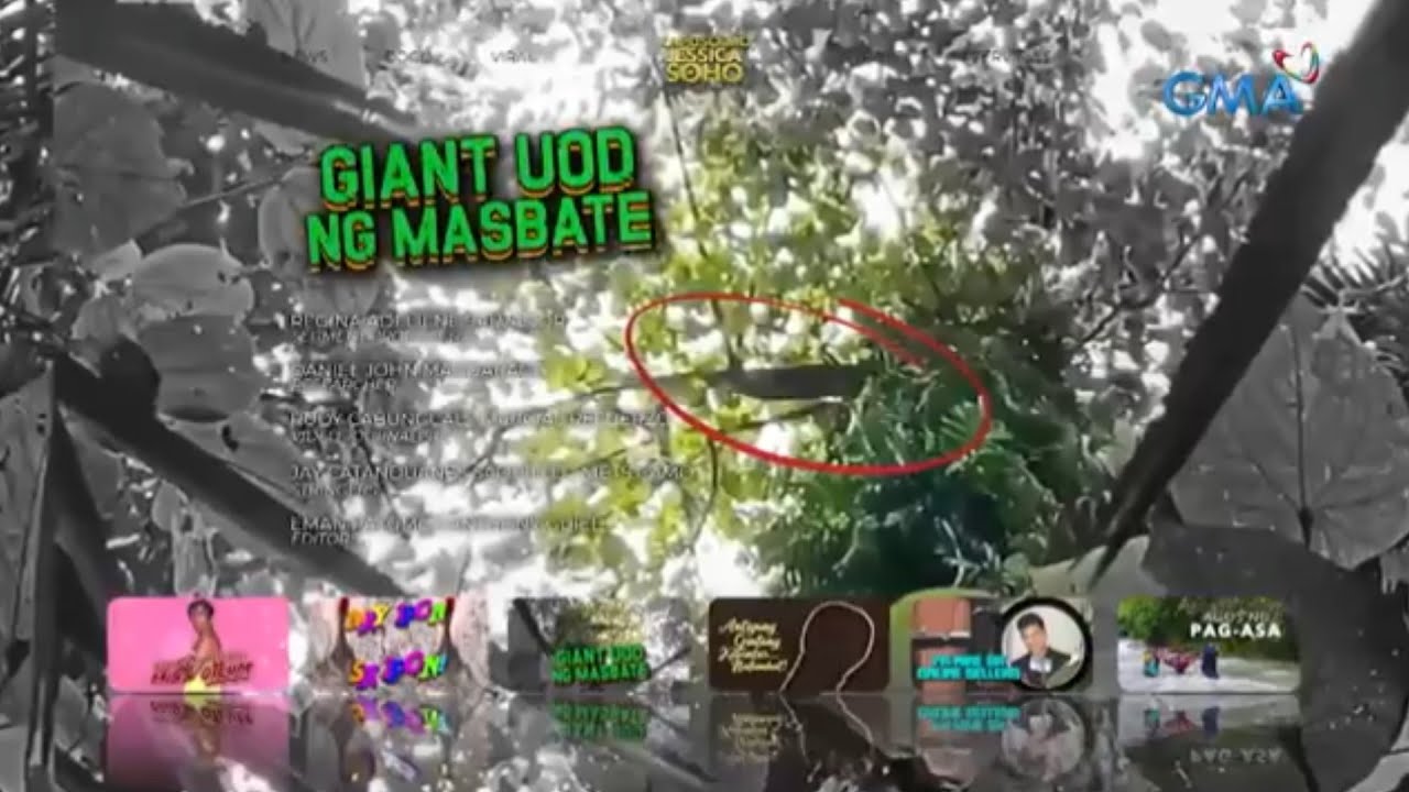 KMJS KAPUSO JESSICA SOHO DECEMBER 11 2022 HIGANTENG UOD NATAGPUAN SA ...