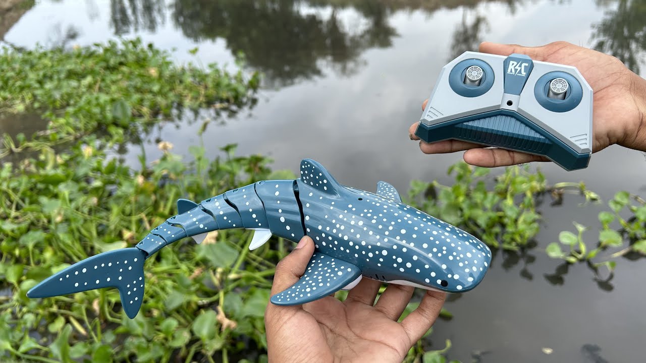 rc shark | unboxing | Rc whale | remote control shark fish - YouTube