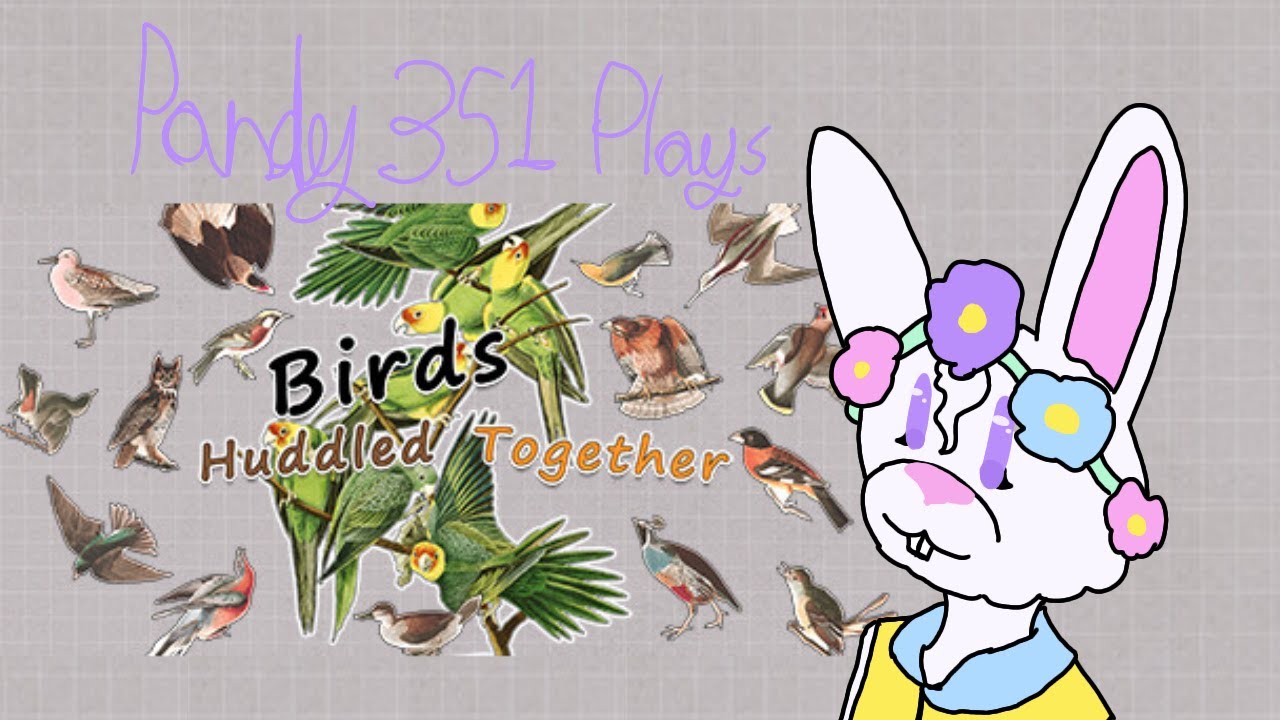 Pandy351 Plays Birds Huddled Together! Live Stream - YouTube