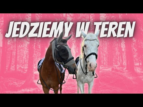 WYJAZD W TEREN Z FOXEM I NATALIĄ