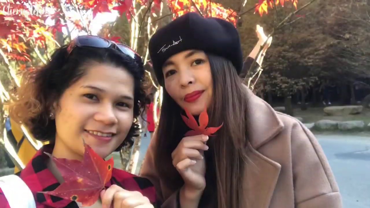 MAPLE TREE NANTOU/TAIWAN - YouTube