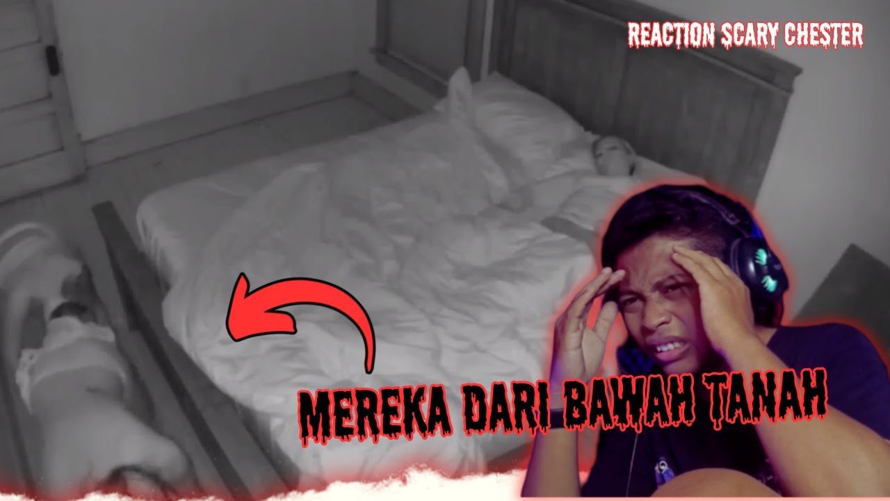 INI APA SATU KEPALA DUA BADAN ‼️.. SCARY CHESTER - YouTube
