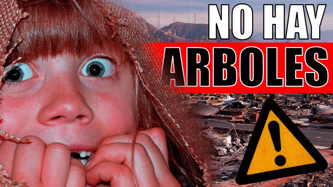 Un MUNDO sin ARBOLES | El APOCALIPSIS verde - YouTube