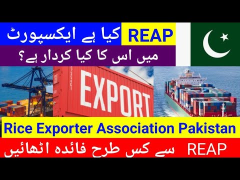 What is REAP ? Role of REAP in Rice export from Pakistan , How to ...