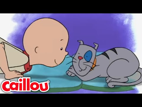 Caillou és Gilbert | Caillou Magyarul