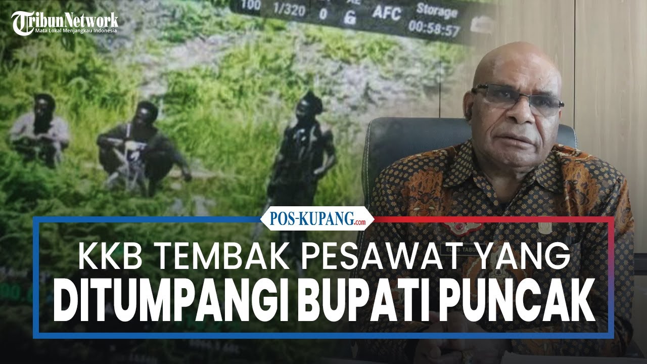 KKB Papua Dikabarkan Tembaki Pesawat yang Ditumpangi Bupati Puncak ...