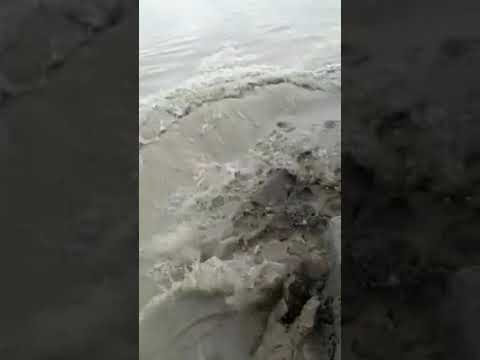Asuba bawana 2311 - YouTube
