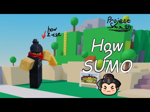 HOW 2 SUMO | Project Smash - YouTube