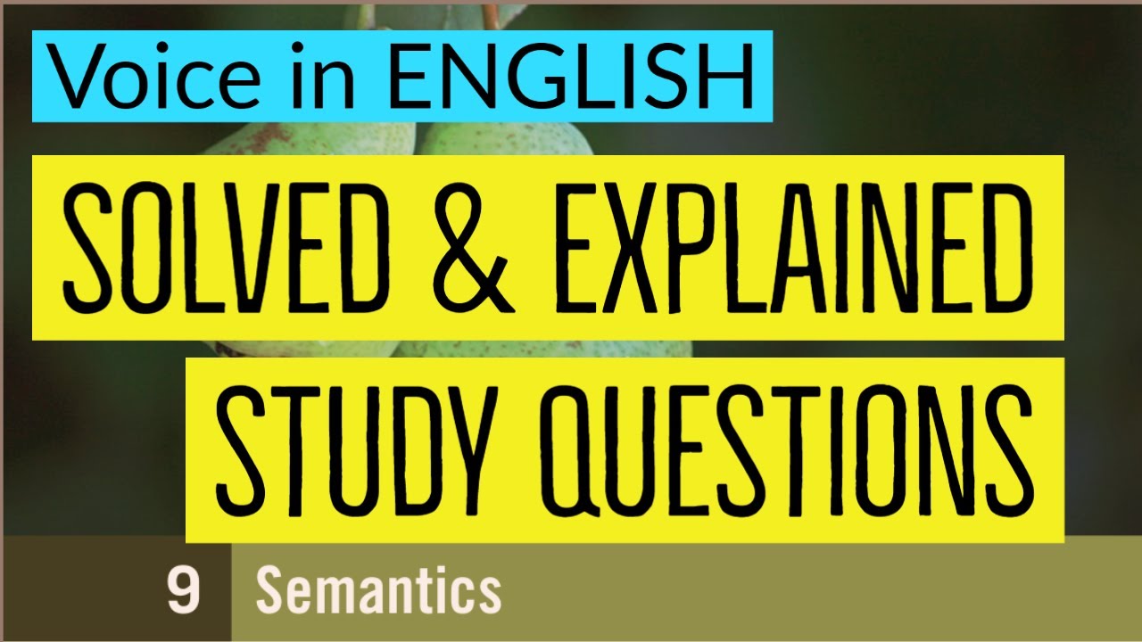 Solved and Explained Study Questions | Chapter 9 | Semantics | The Study of Language | [ ENGLISH ...